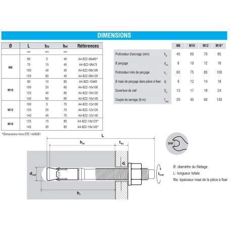GOUJON ANCRAGE INOX A4 M10X100 BOITE de 50 - Manubricole | manubricole.com